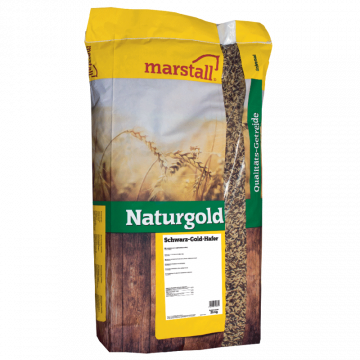 Hafer der Klassiker in der Pferdefütterung | pferdefutter.de